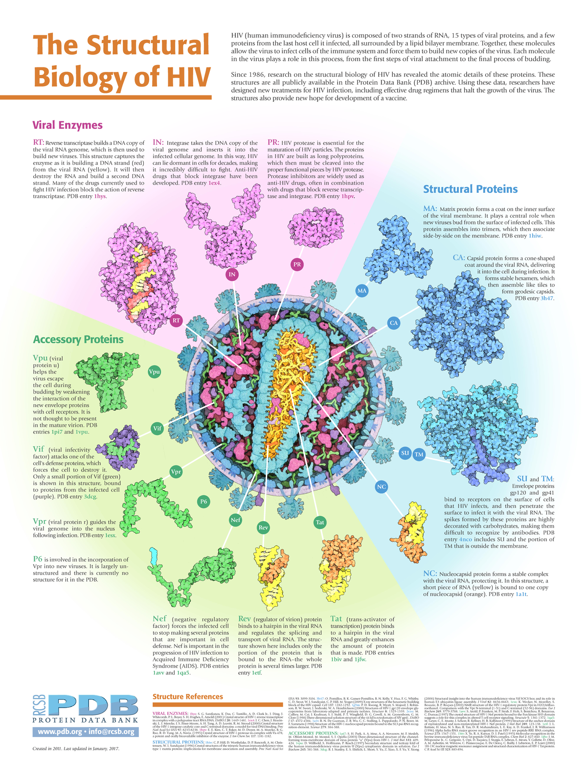 Structural Biology Of Hiv Studocu