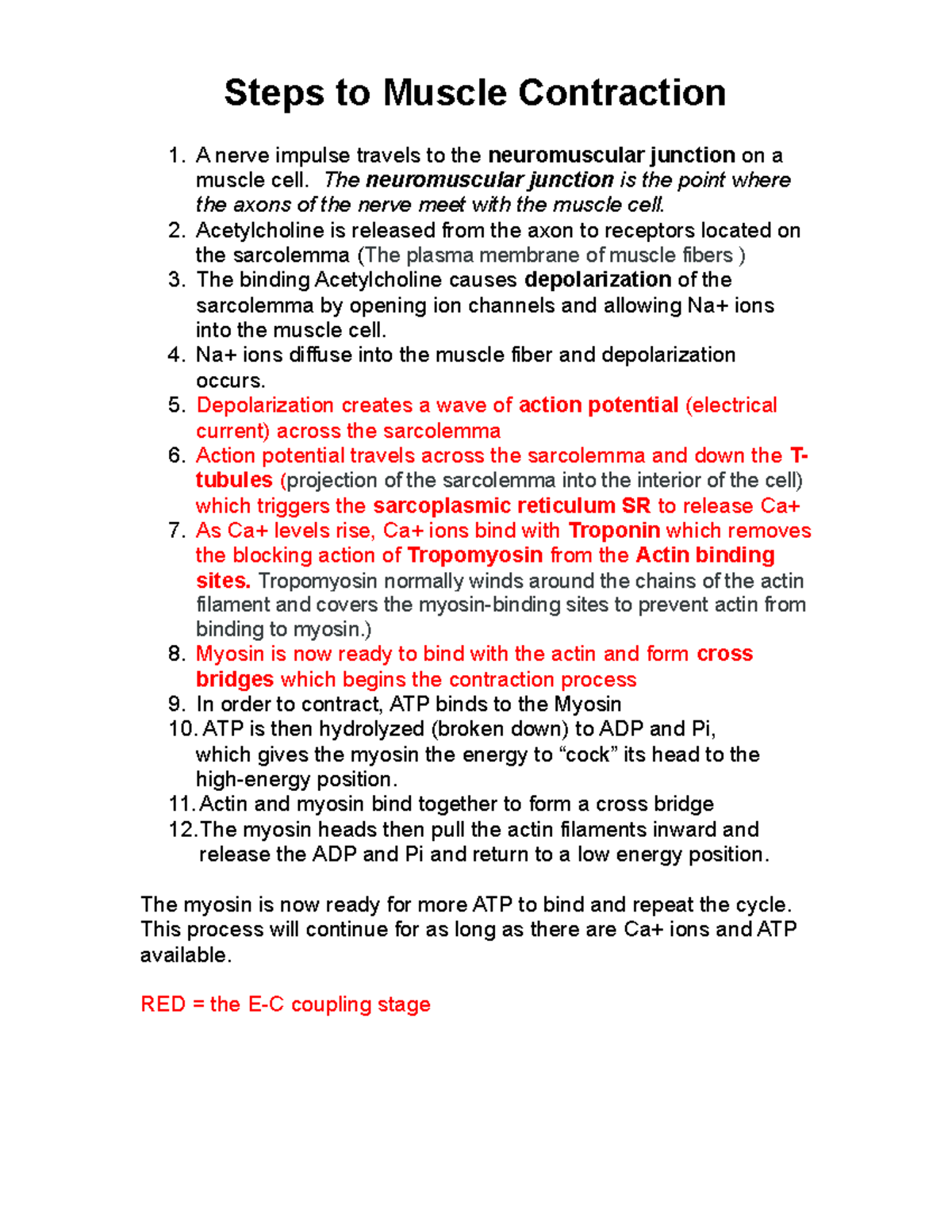 12 Steps To Muscle Contraction Steps To Muscle Contraction A Nerve