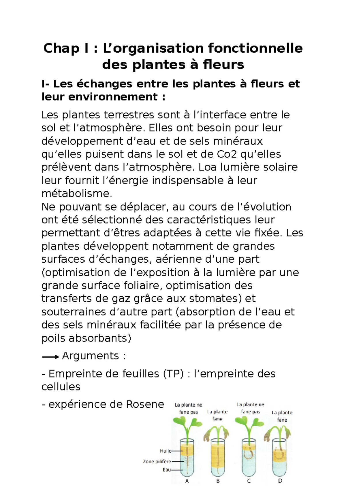 Organisation Fonctionnelle Des Plantes à Fleur Chap I L