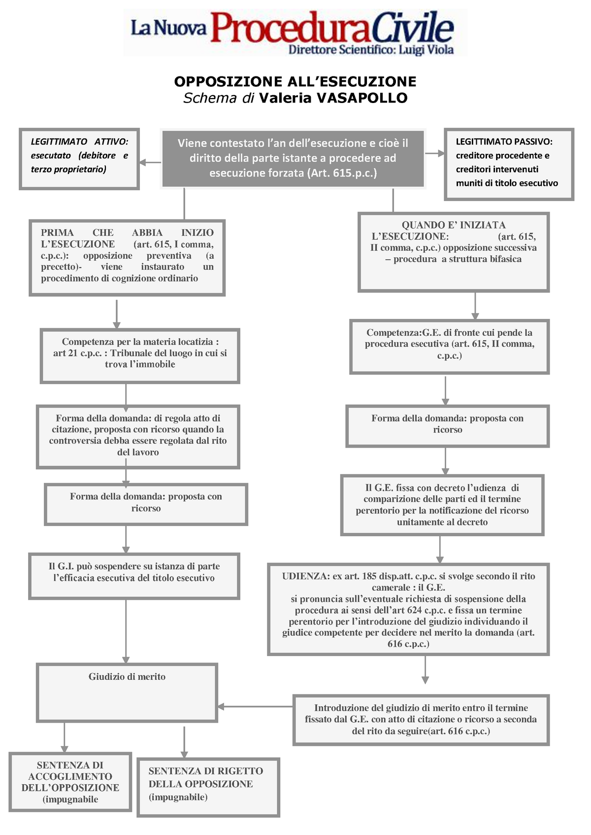 Opposizione Allesecuzione Opposizione Allesecuzione Schema Di