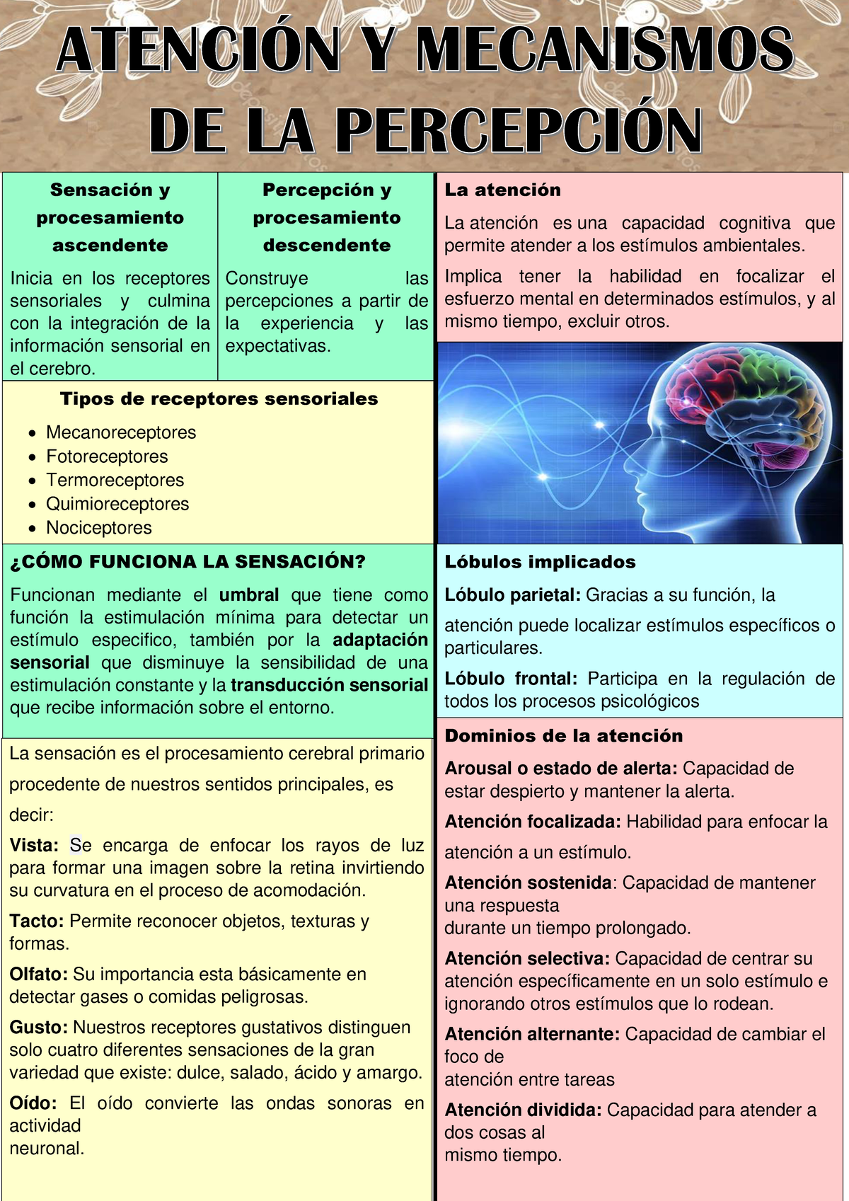 Atención Y Mecanismo De La Percepción SensaciÛn Y Procesamiento