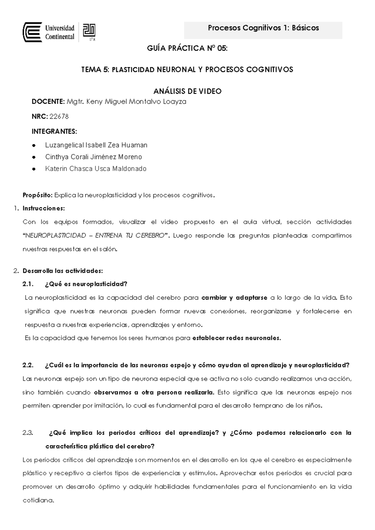 Pcb1 GuÍa PrÁ Ctica N°5 Procesos Cognitivos 1 Básicos GuÍa PrÁctica