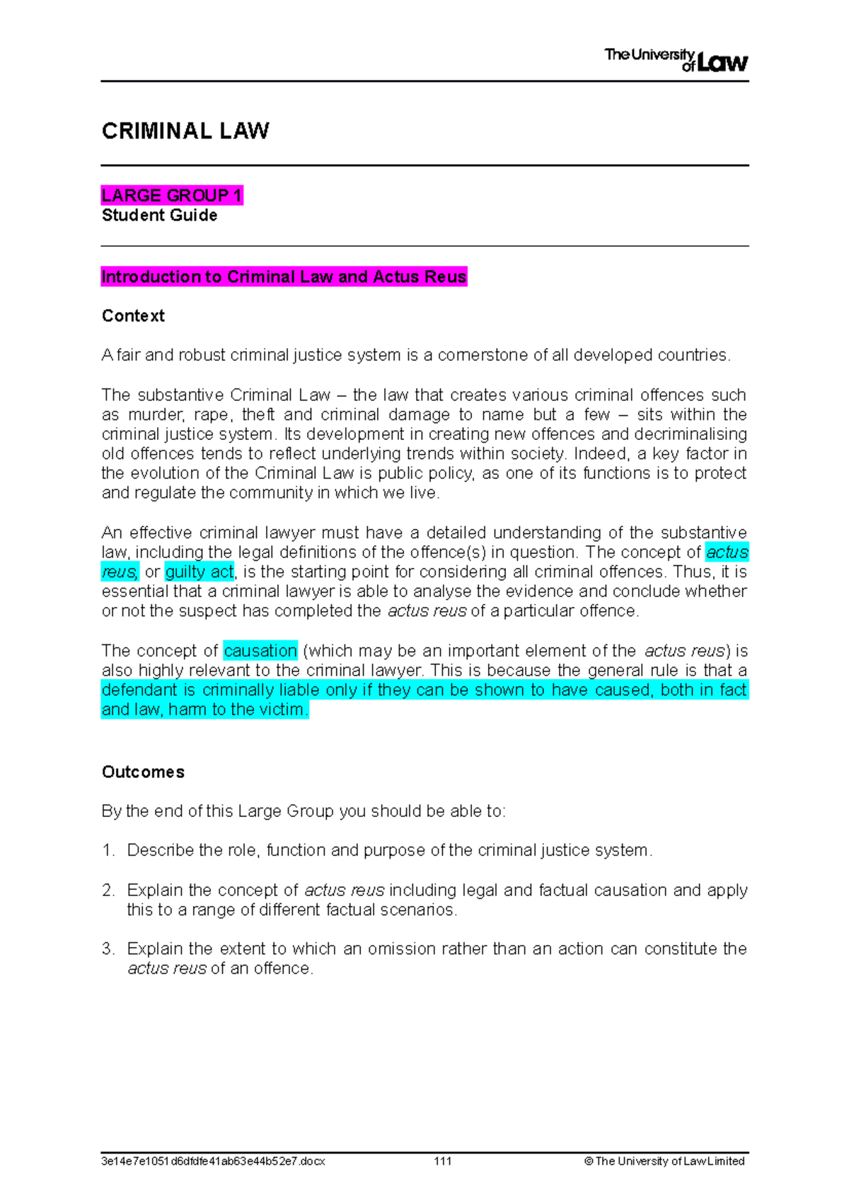 Large Group 1 Introduction To Criminal Law And Actus Reus Criminal