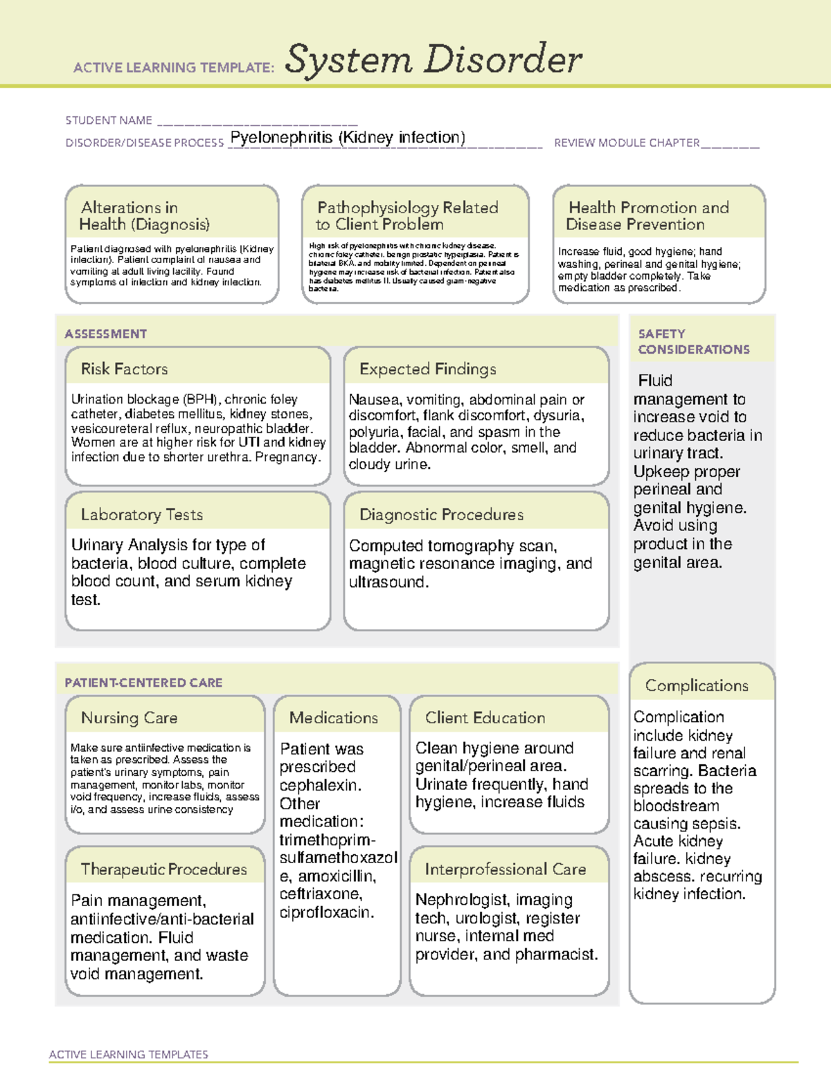 System Disorder Pyelonephritis Active Learning Templates System