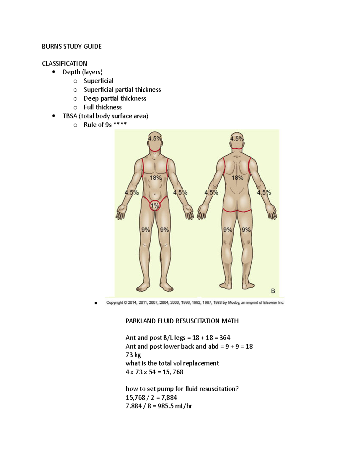 Burns Study Guide Burns Study Guide Classification Depth Layers O