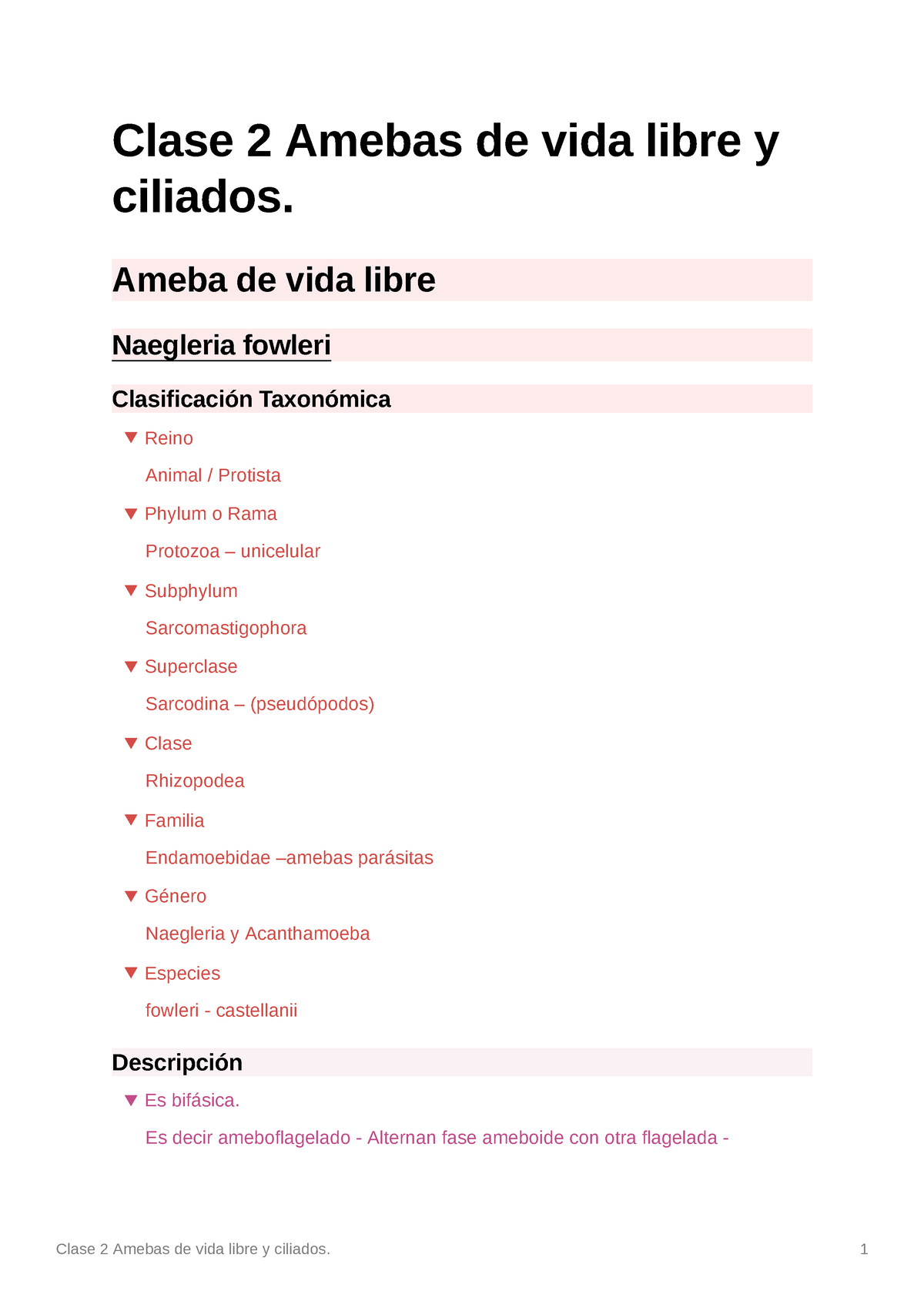 Clase 2 Amebas De Vida Libre Y Ciliados Ameba De Vida Libre Naegleria