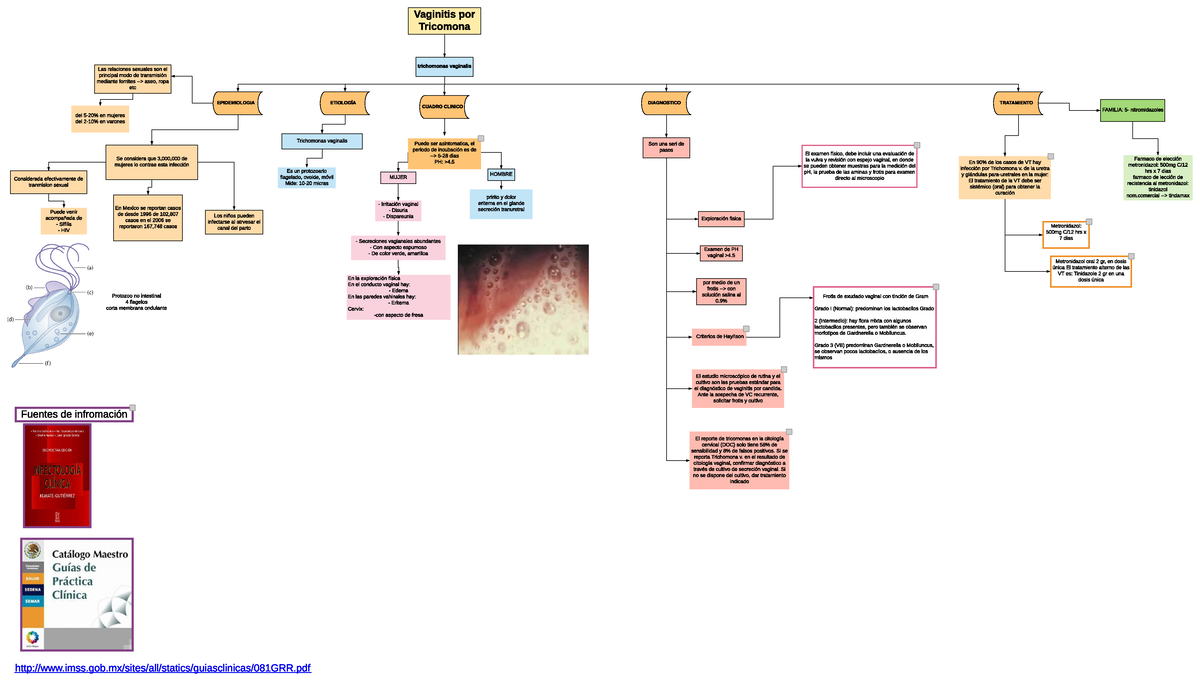 Tricomona Mapas Conceptuales Y Resumenes Vaginitis Por Tricomona