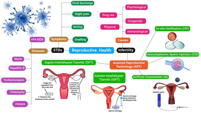 Reproductive Health Mindmap