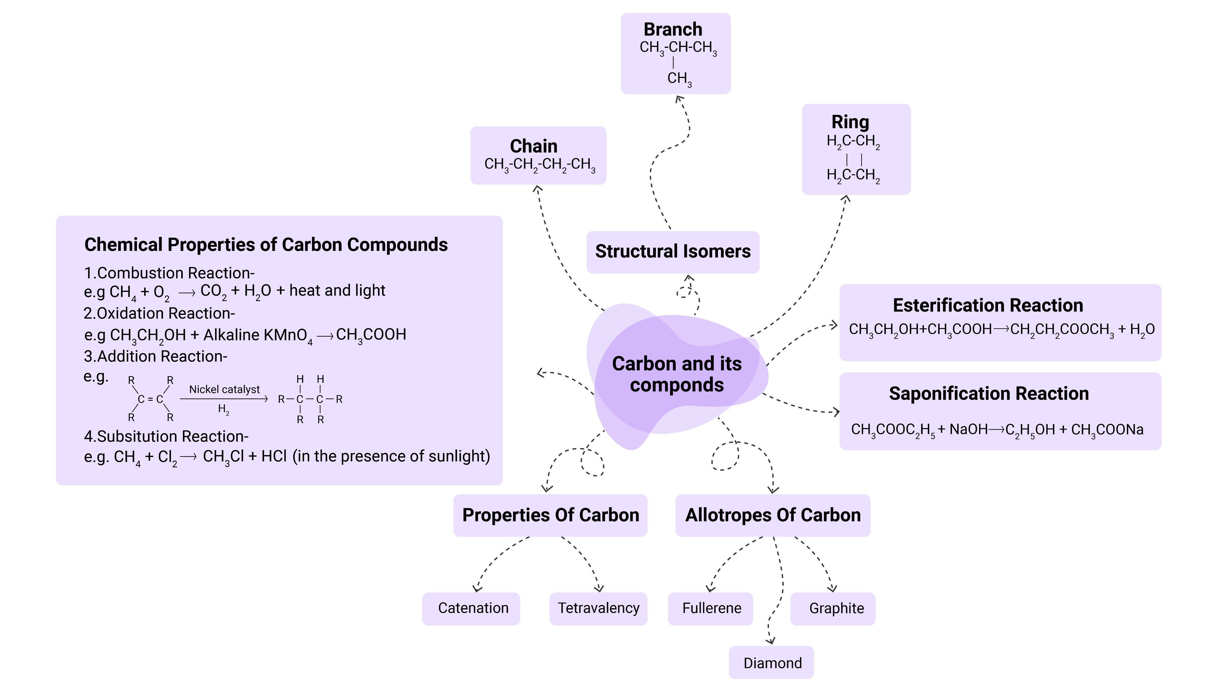 Organic Compounds Concept Map