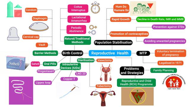 Reproductive Health Mindmap