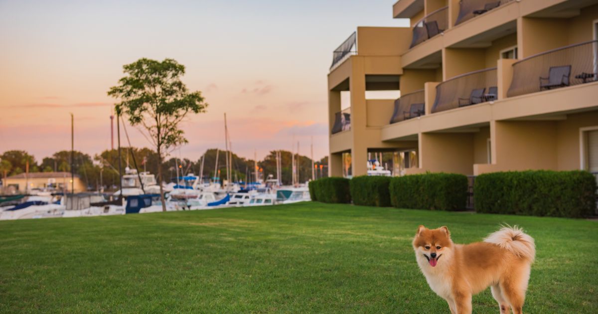 San Diego Pet Friendly Hotel The Dana On Mission Bay