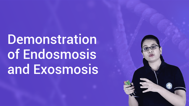 Demonstration Of Endosmosis And Exosmosis In English Biology Video