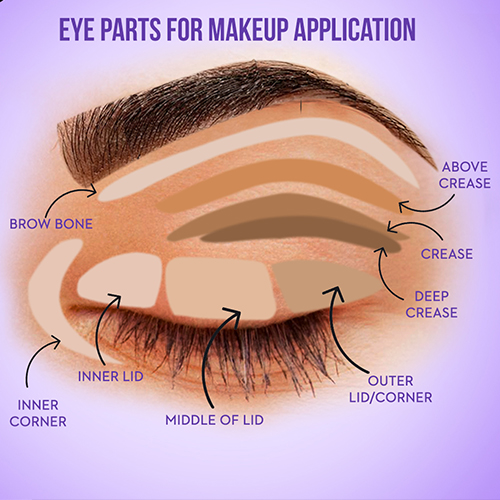 How To Apply Eyeshadow Like A Pro Moraze Cosmetics