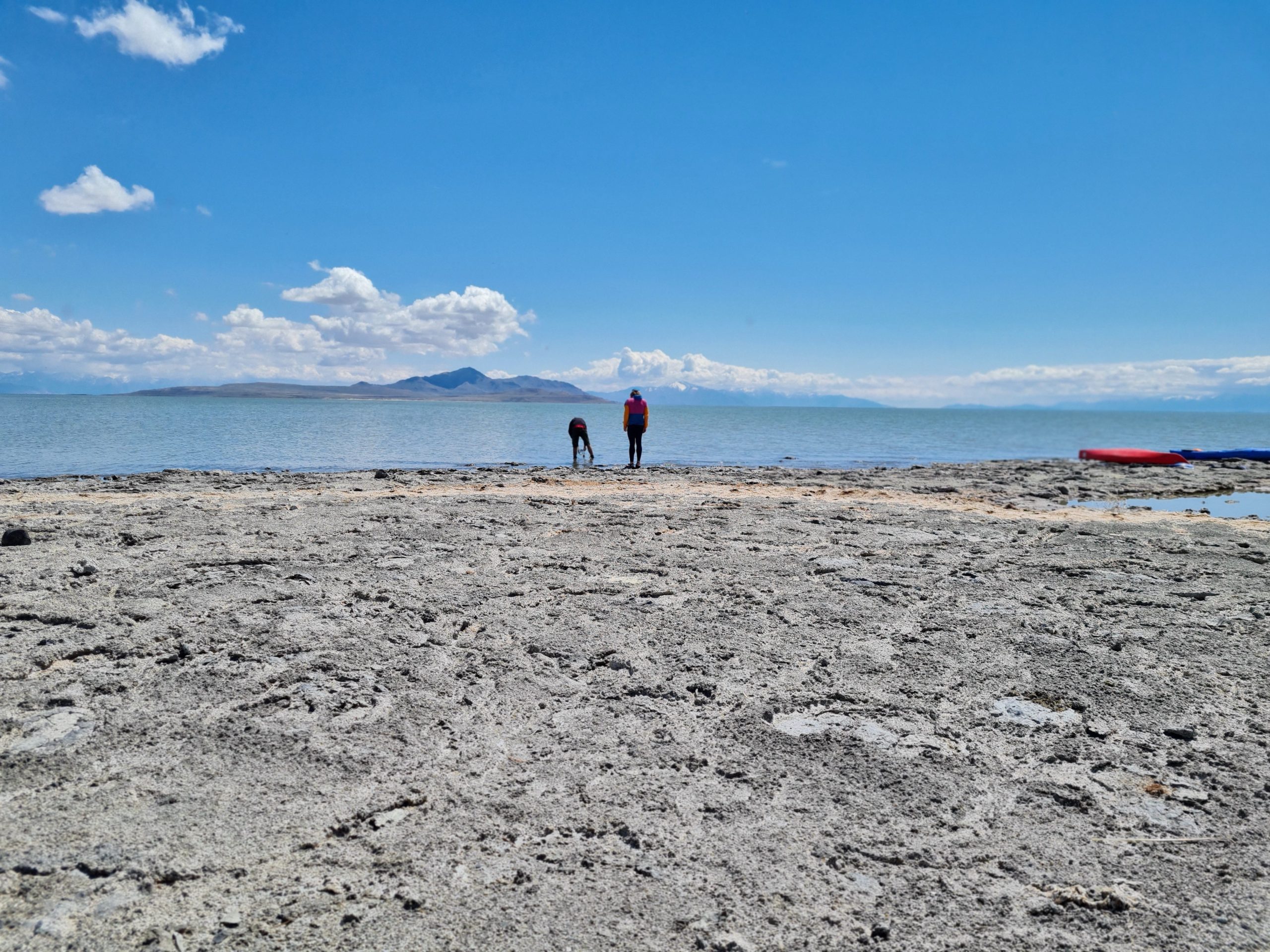 Roundworms And The Great Salt Lake Ecosystem Theu