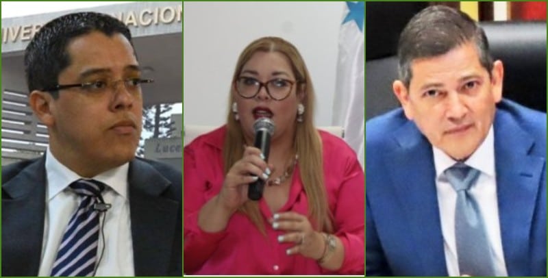 Electos Los Miembros De La Junta Proponente