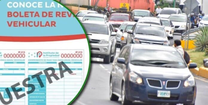 ¿cuánto Debes Pagar Por La Matricula Vehicular 2023