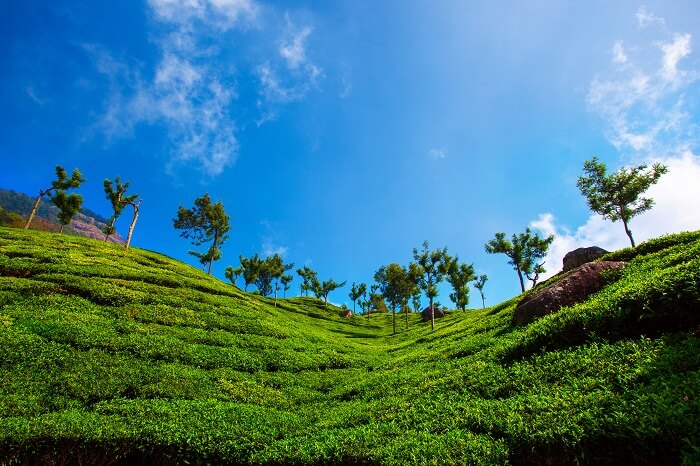 10 Best Places To Visit In Coonoor