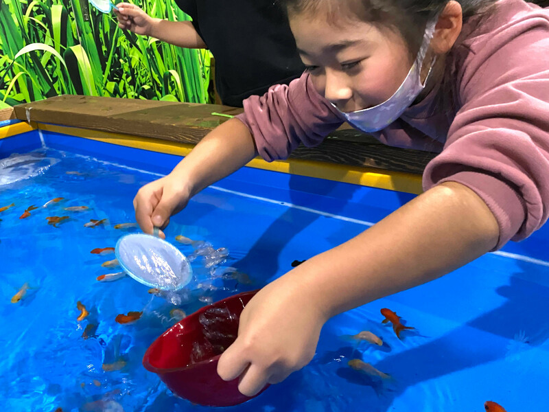 相模原市に人気屋内釣堀open 熱帯魚・ヤドカリ釣り＆お宝探しも いこーよニュース