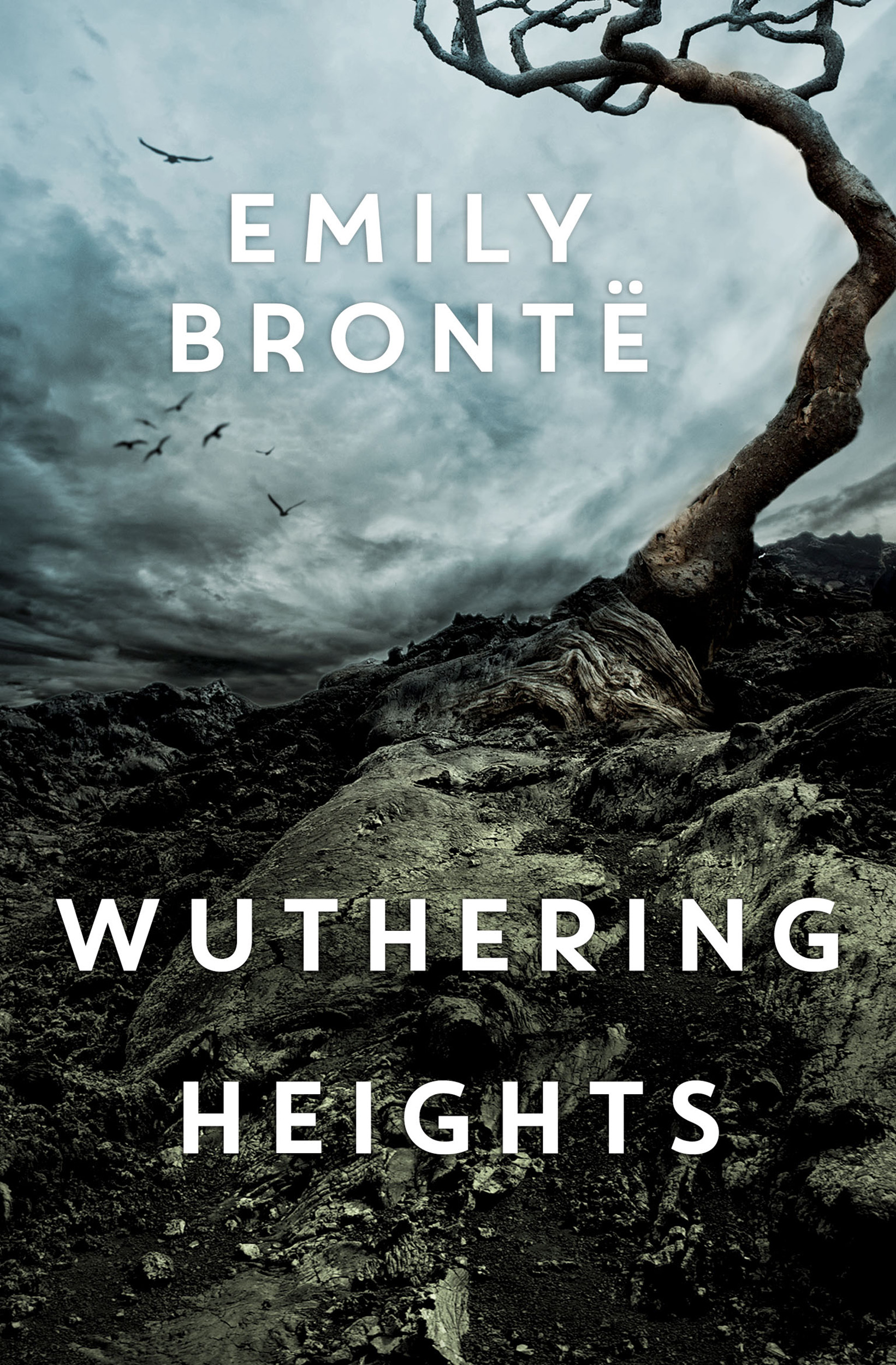 Wuthering Heights Book By Emily Brontë Official Publisher Page