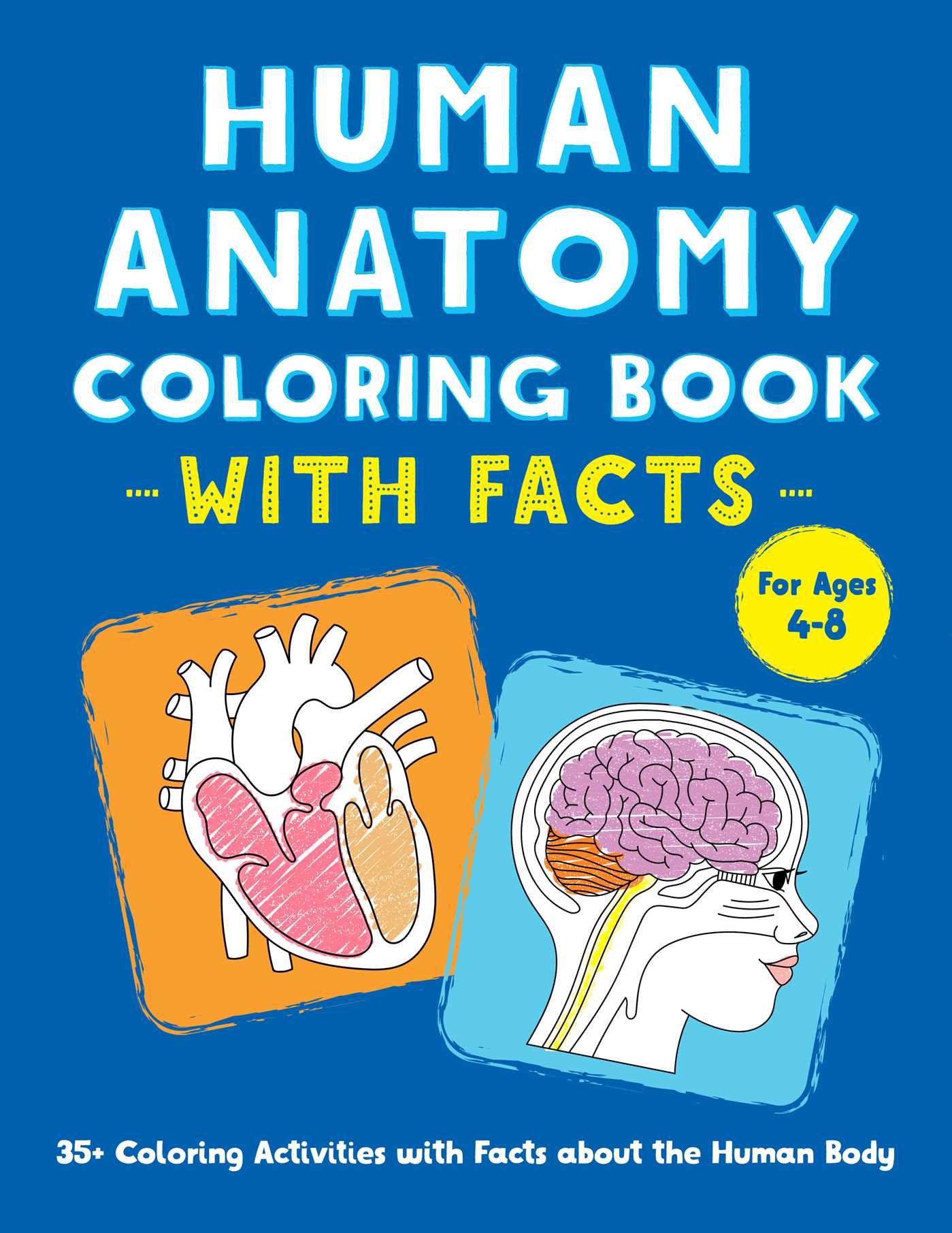 Human Anatomy Coloring Book With Facts Book By Rockridge Press