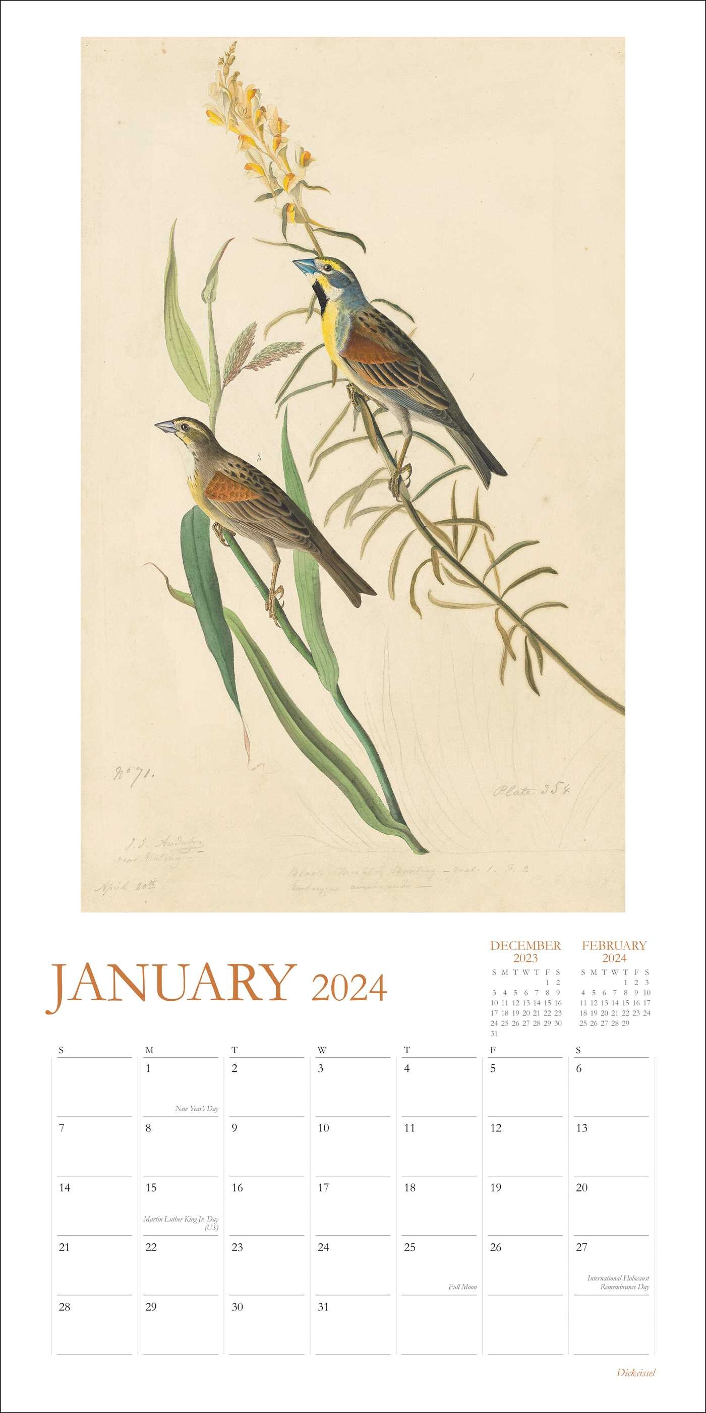 Watercolor Wall Calendar 2024 Lilah Pandora