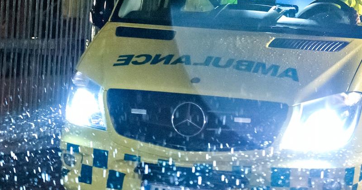 33 årig Mand I Koma Efter Voldsomt Overfald Trampet Og Sparket På Af