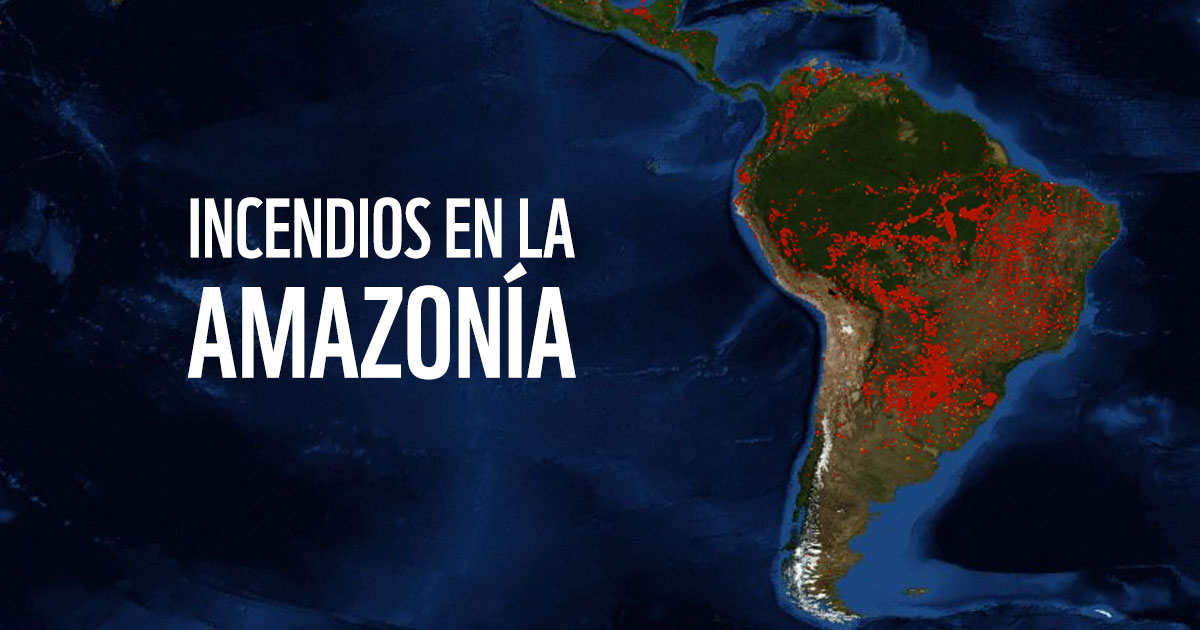 Declaración De Wwf Sobre Los Devastadores Incendios Forestales En La