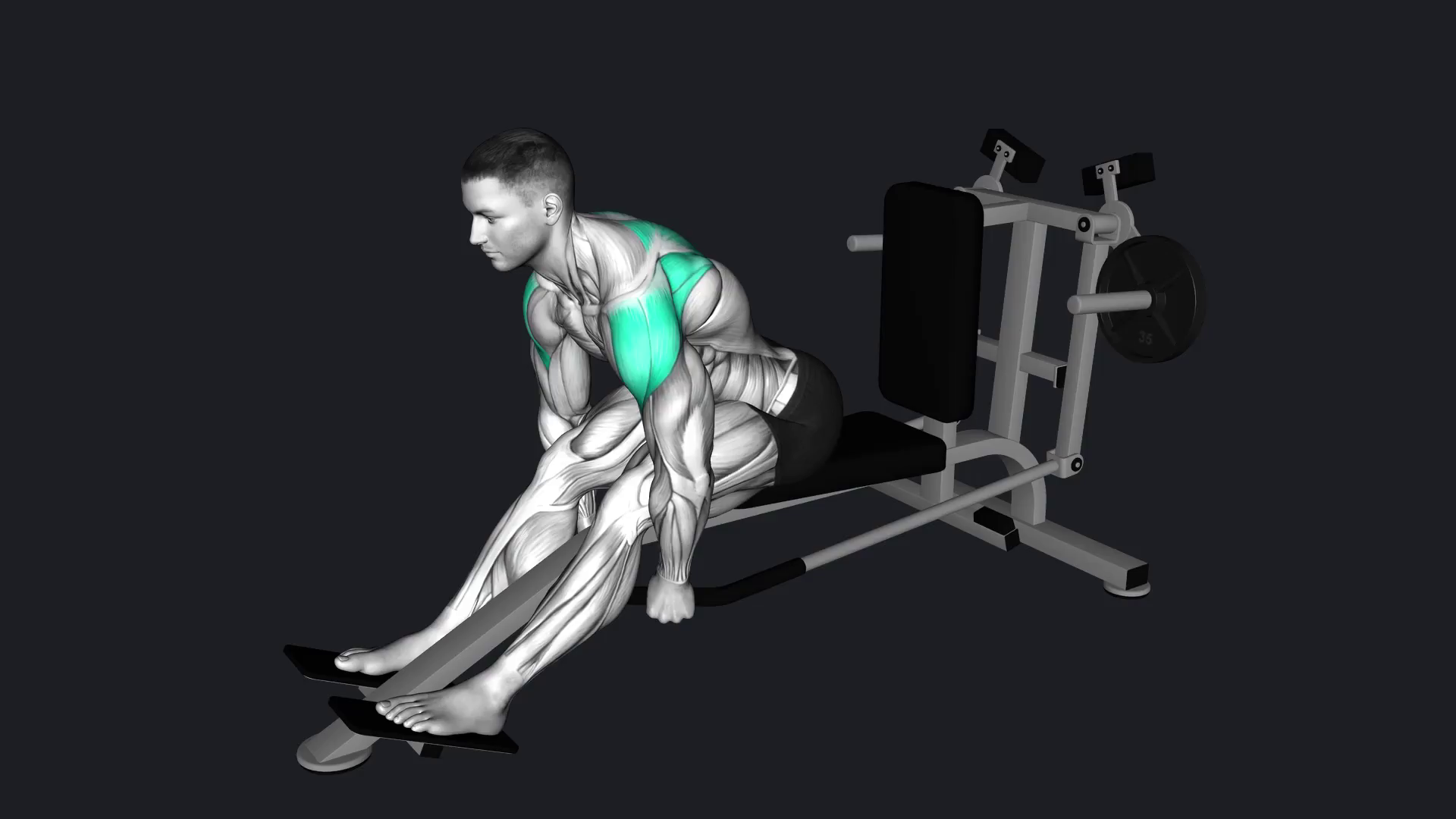 How To Bent Over Lateral Raise Machine The Perfect Guide For Beginners