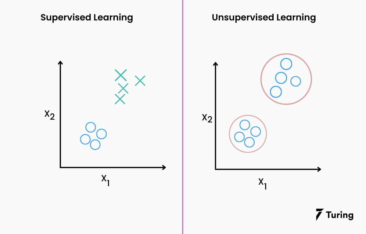 Introduction To Self Supervised Learning In Nlp