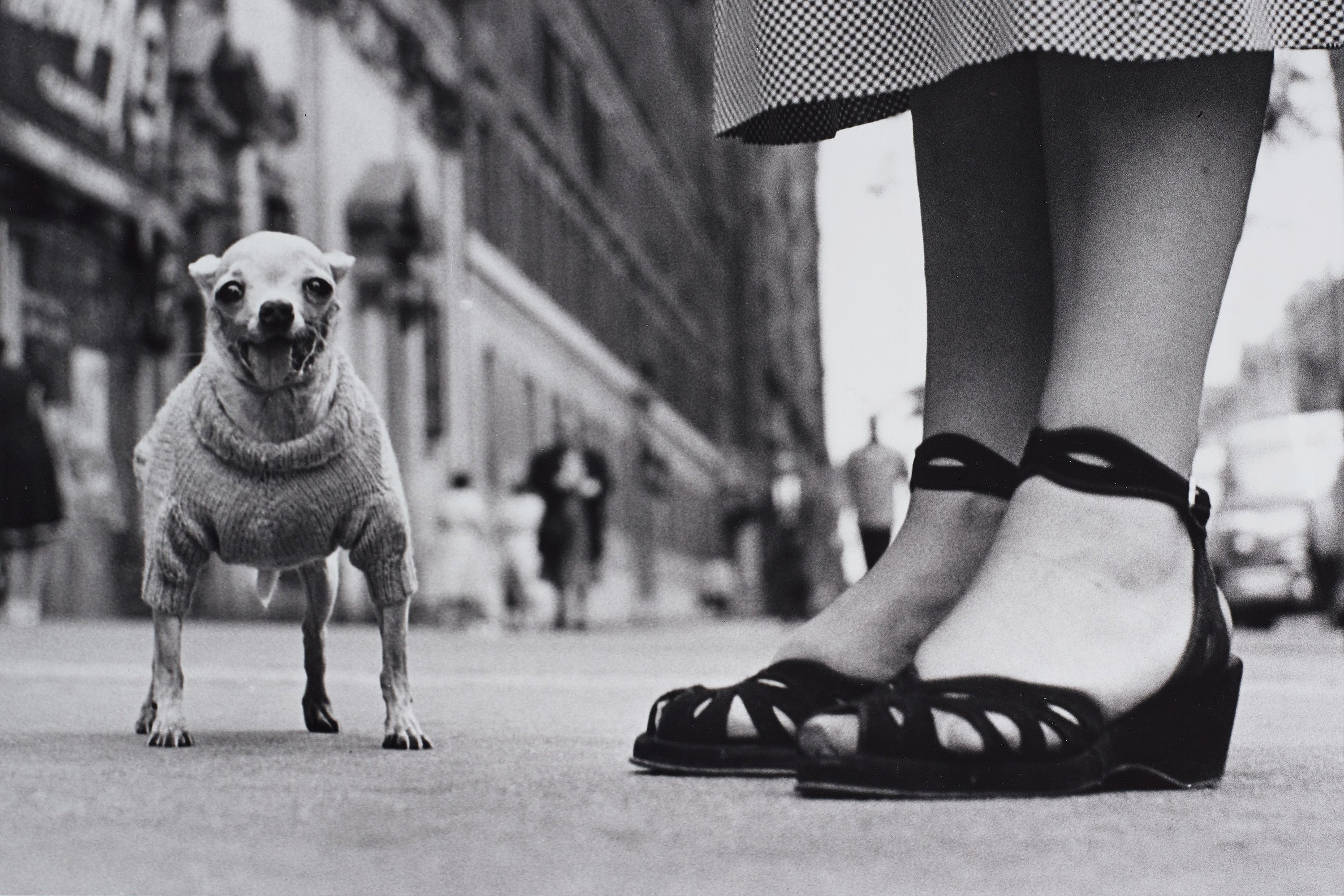 Elliott Erwitt New York City Ca 1950 Bukowskis