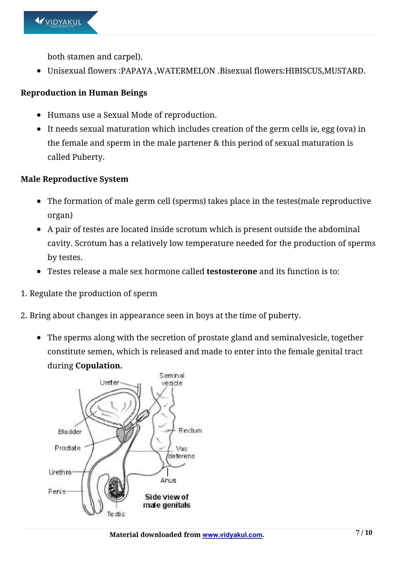 Class 10th Science How Do Organisms Reproduce Ncert Notes Cbse 2023