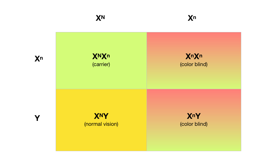 Red Green Color Blindness Is A Sex Linked Recessive Conditio Quizlet