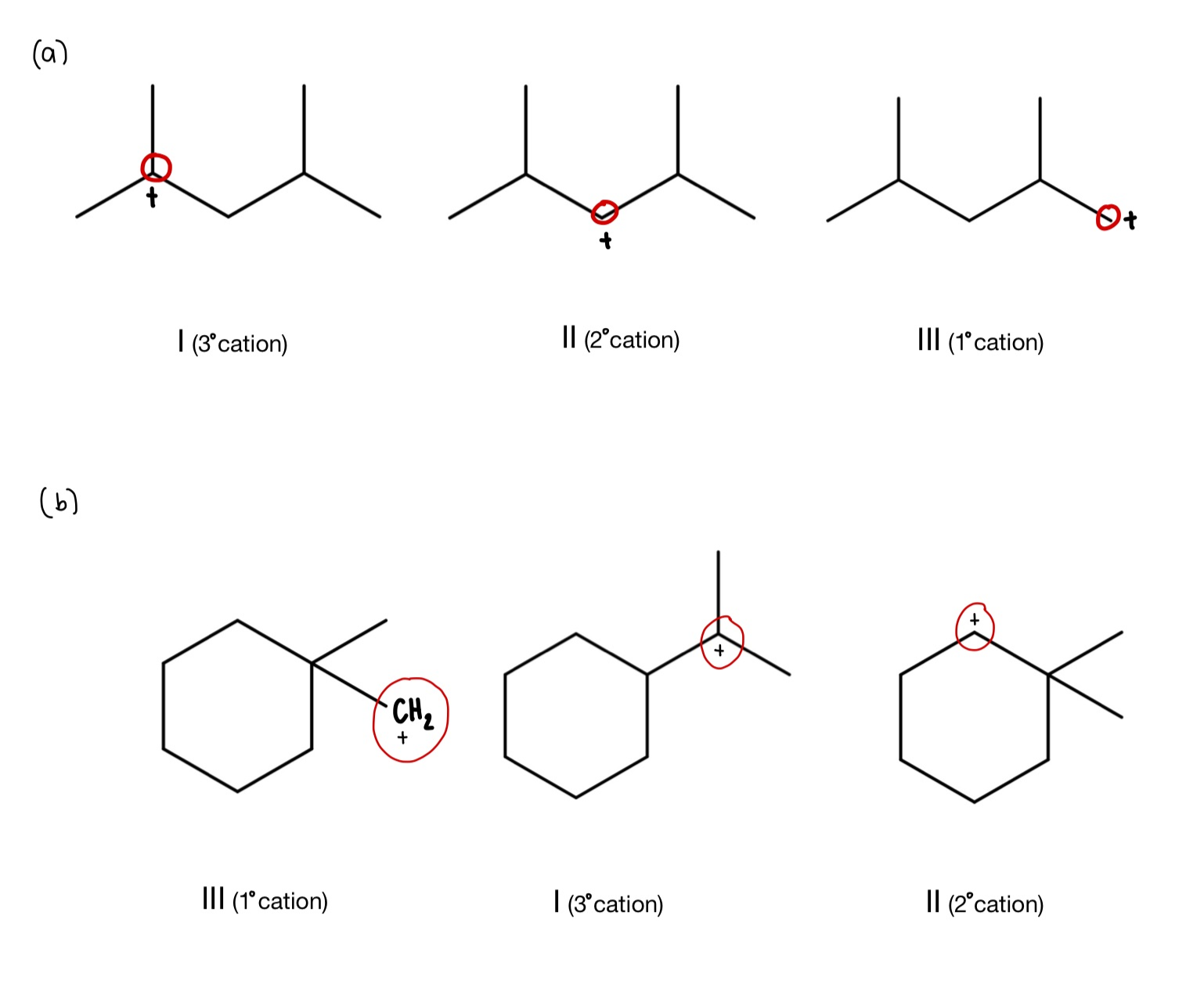 Organic Chemistry Exercise 62 Ch 7 Pg 284 Quizlet