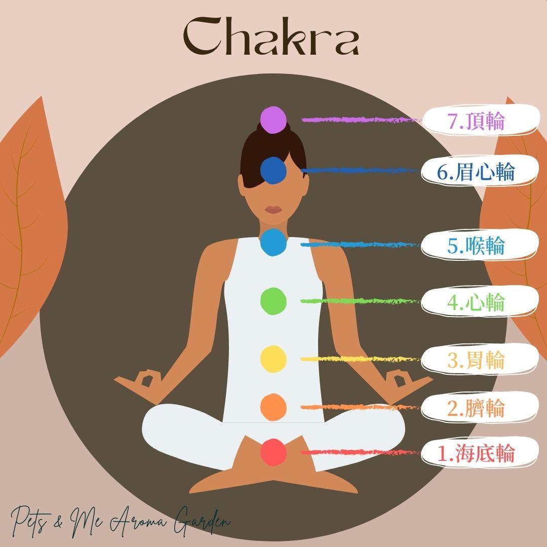 七脈輪 Chakra 1七脈輪介紹｜方格子 Vocus