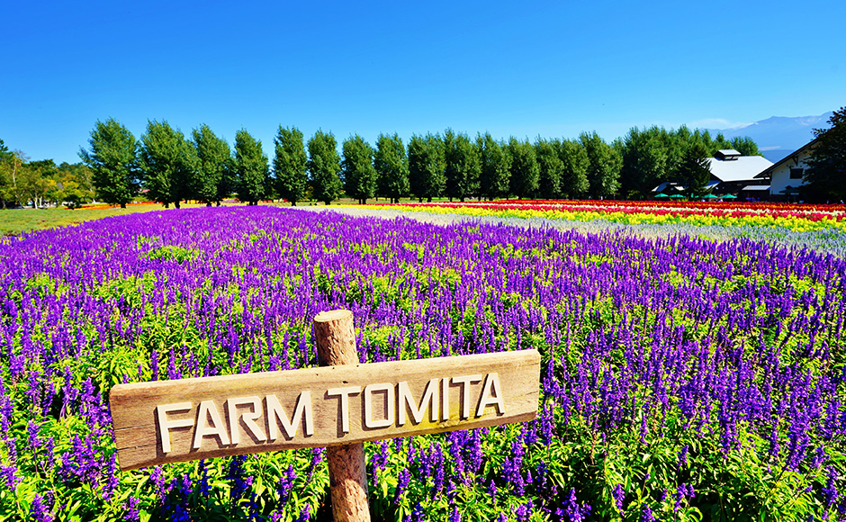 Farm Tomita Official Mystays Hotel Group