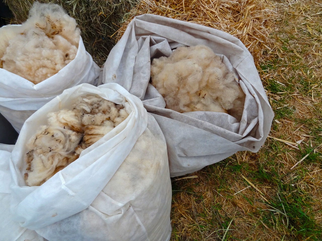 How To Wash Raw Wool On Bluprint Craftsy