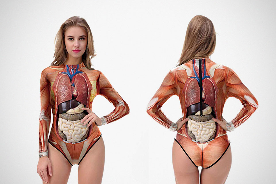 Human Body With Internal Organs