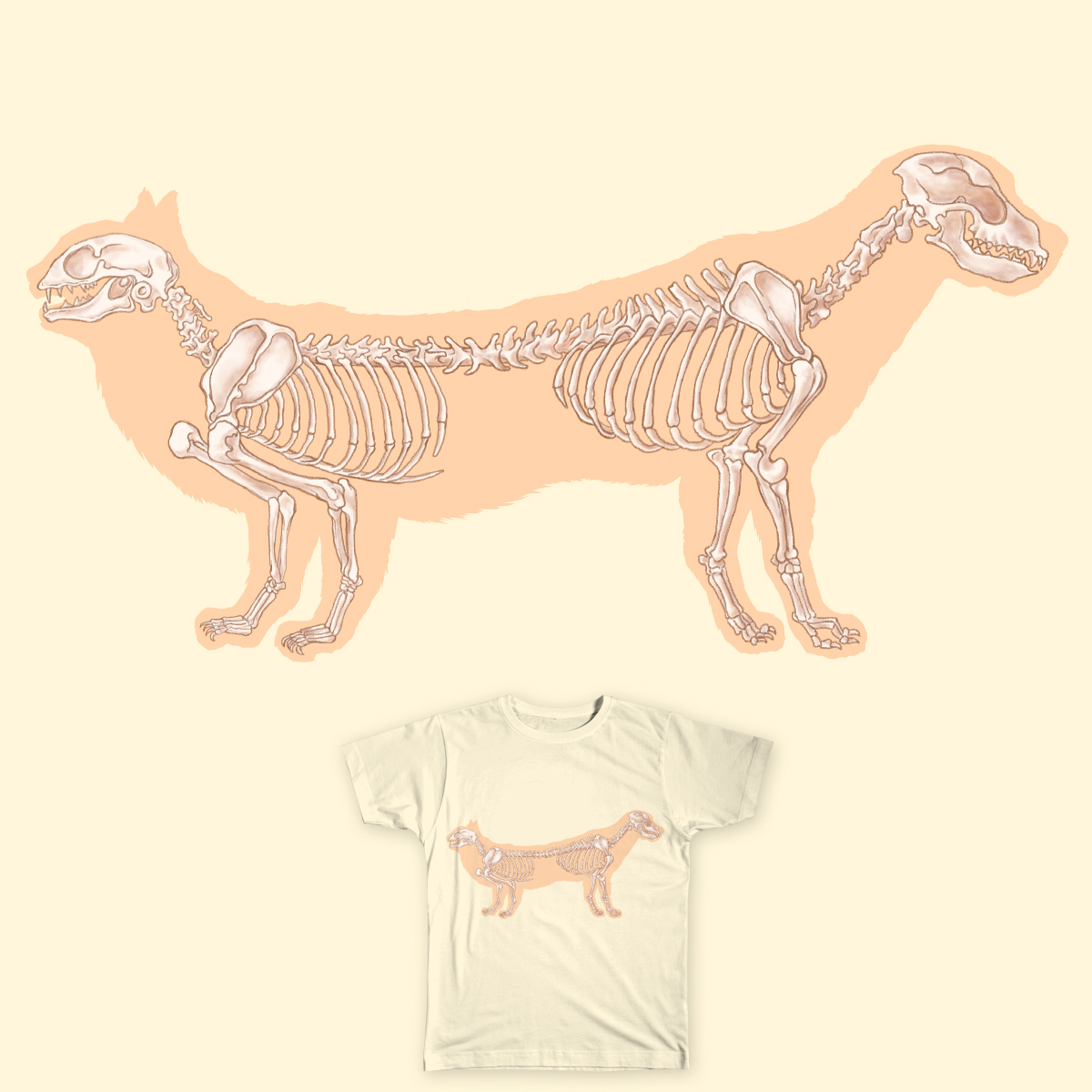 Score Catdog An Anatomy By Lemonadeproject On Threadless