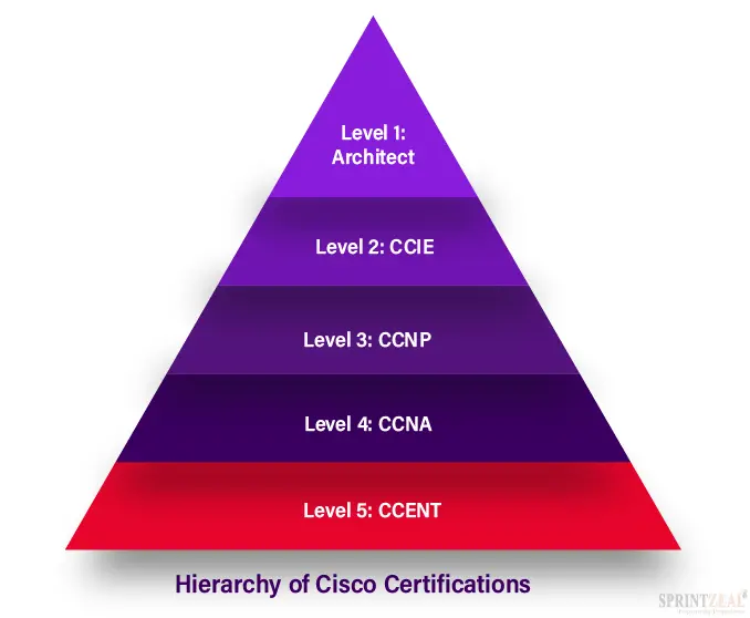 Ccna Vs Ccnp Which Cisco Certification Is Right For You