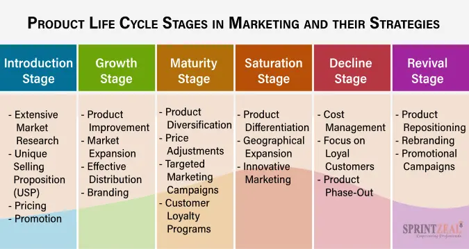 Product Life Cycle In Marketing Essential Product Marketing Strategies