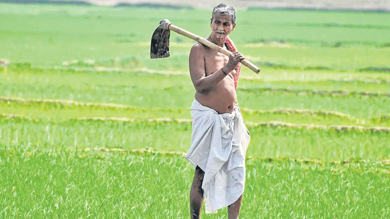 Rythu Bharosa రైతు భరోసా ఎవరికి వద్దు ఏ ఊళ్లో ఎంతమందికి కోతలెయ్యాలి