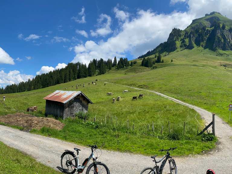 Ostergunten Alpe Mountainbike Touren Und Trails Komoot