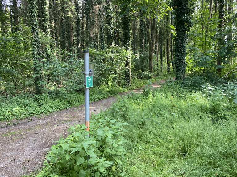 Ghersburg Trails Mountainbike Touren Komoot