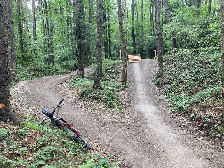 Die 11 Schönsten Mountainbike Touren Rund Um Den Chęcińsko Kielecki