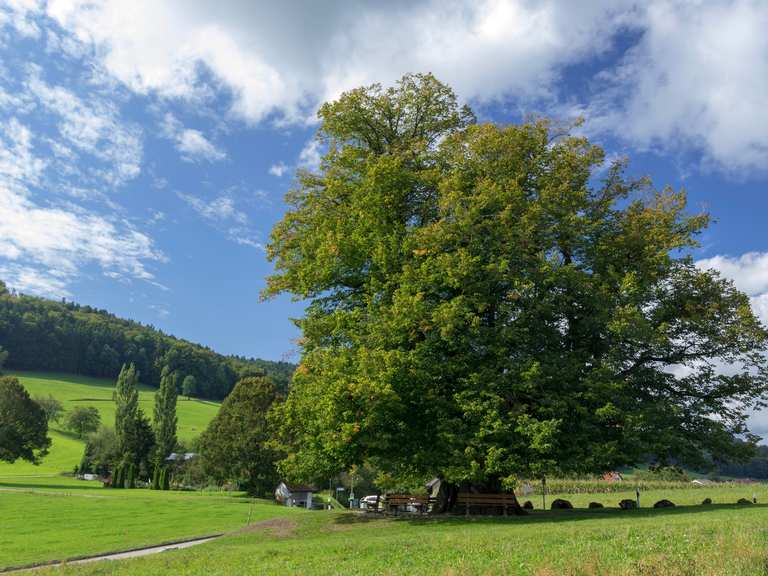 Ausflugsziele Im Aargau Die Top 20 Komoot Komoot