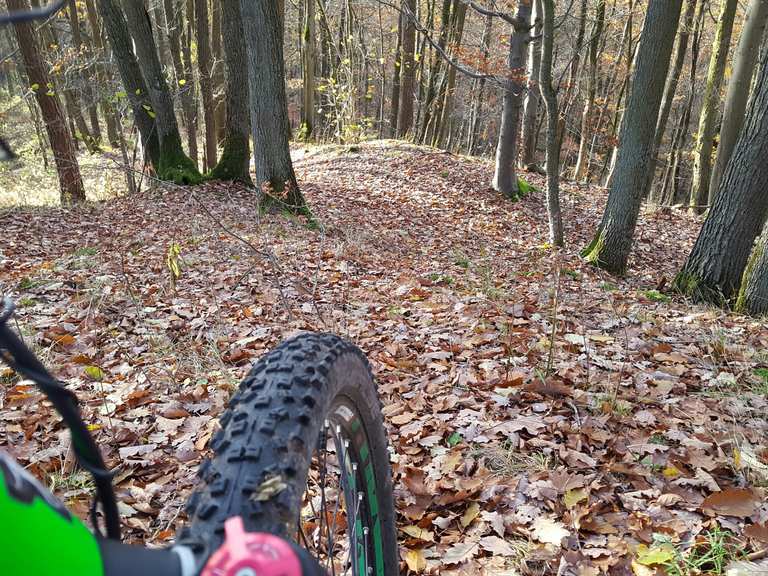 Die 20 Schönsten Mountainbike Touren Im Steigerwald Komoot