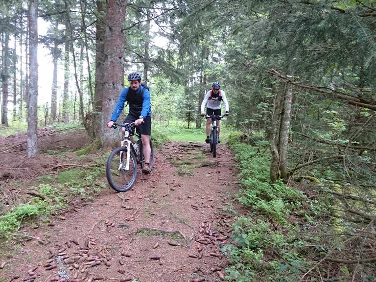 Die 20 Schönsten Mountainbike Touren Rund Um Furtwangen Komoot