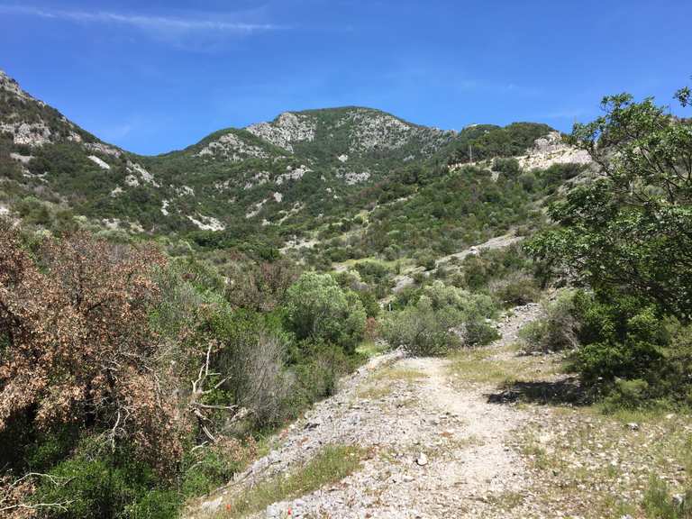 Le 16 Escursioni E Trekking Migliori Nei Dintorni Di Campiglia