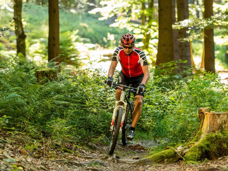 Die 10 Schönsten Mountainbike Touren In Rheinland Pfalz Komoot