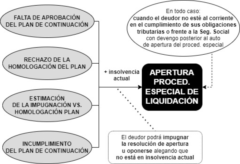 Esquema Sobre La Apertura Del Procedimiento Especial Para Microempresas